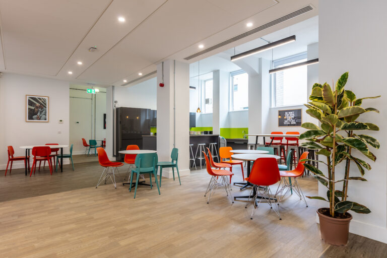 Shelter | Case Study | Constructive Space